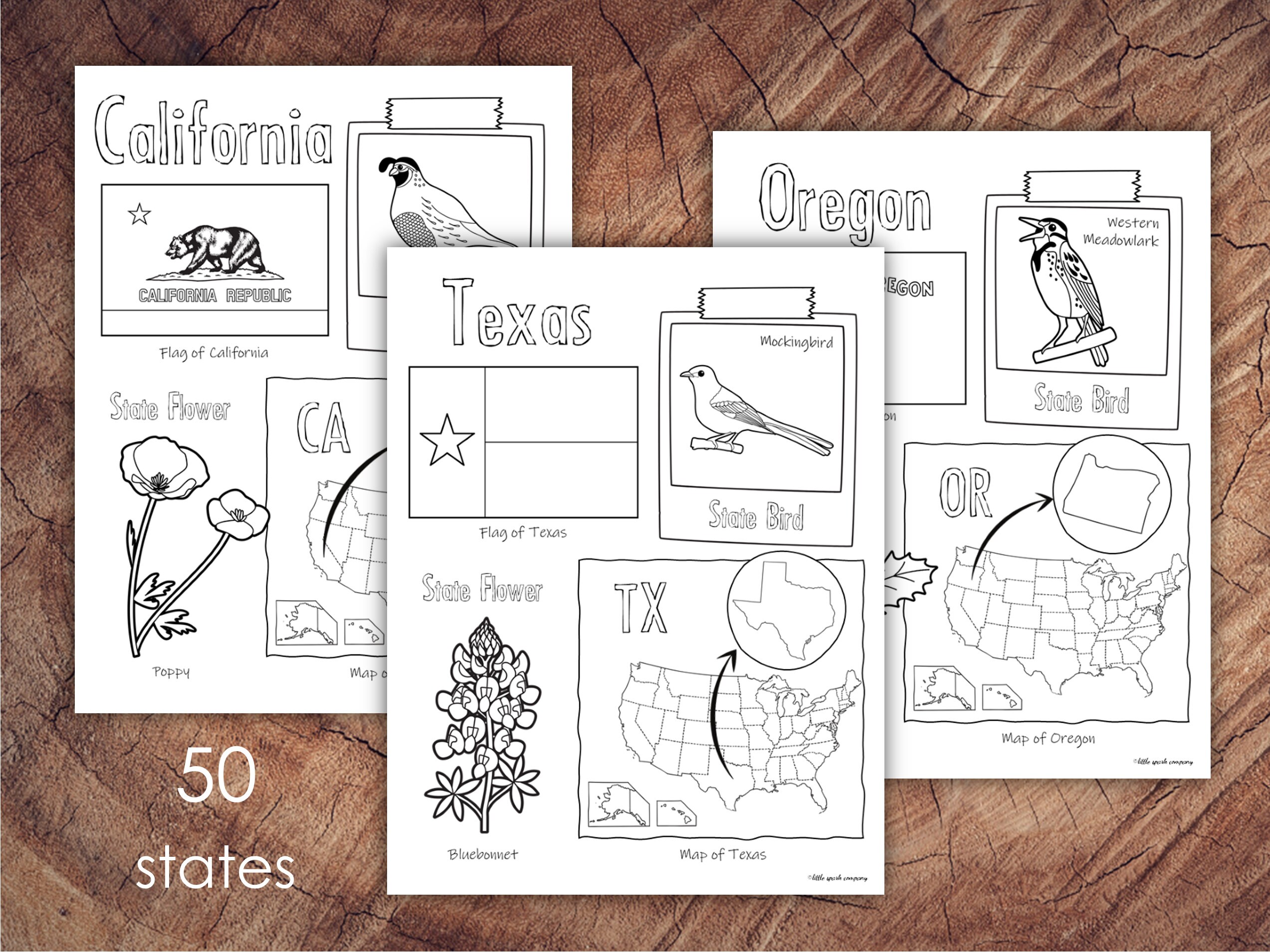 US States Research Pack Homeschool Geography - Etsy