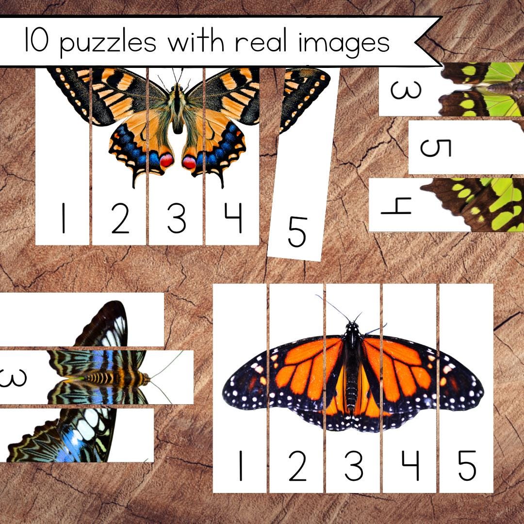 Butterfly Number Puzzles 1-5, Number Recognition, Order - Etsy