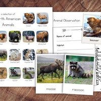 Spanish Zoo Animals Vocabulary Educational Printable Poster - Etsy