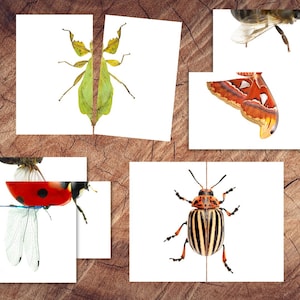 Insect Symmetry Puzzles, Matching Cards, Toddler Preschool Activity - Etsy