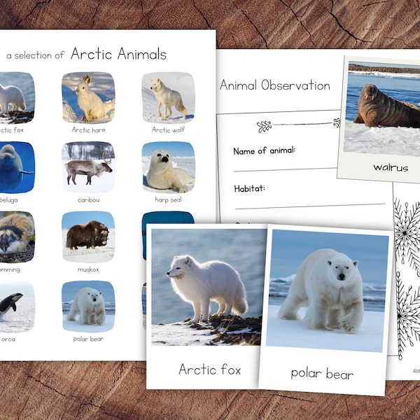 Polar Animals - Etsy