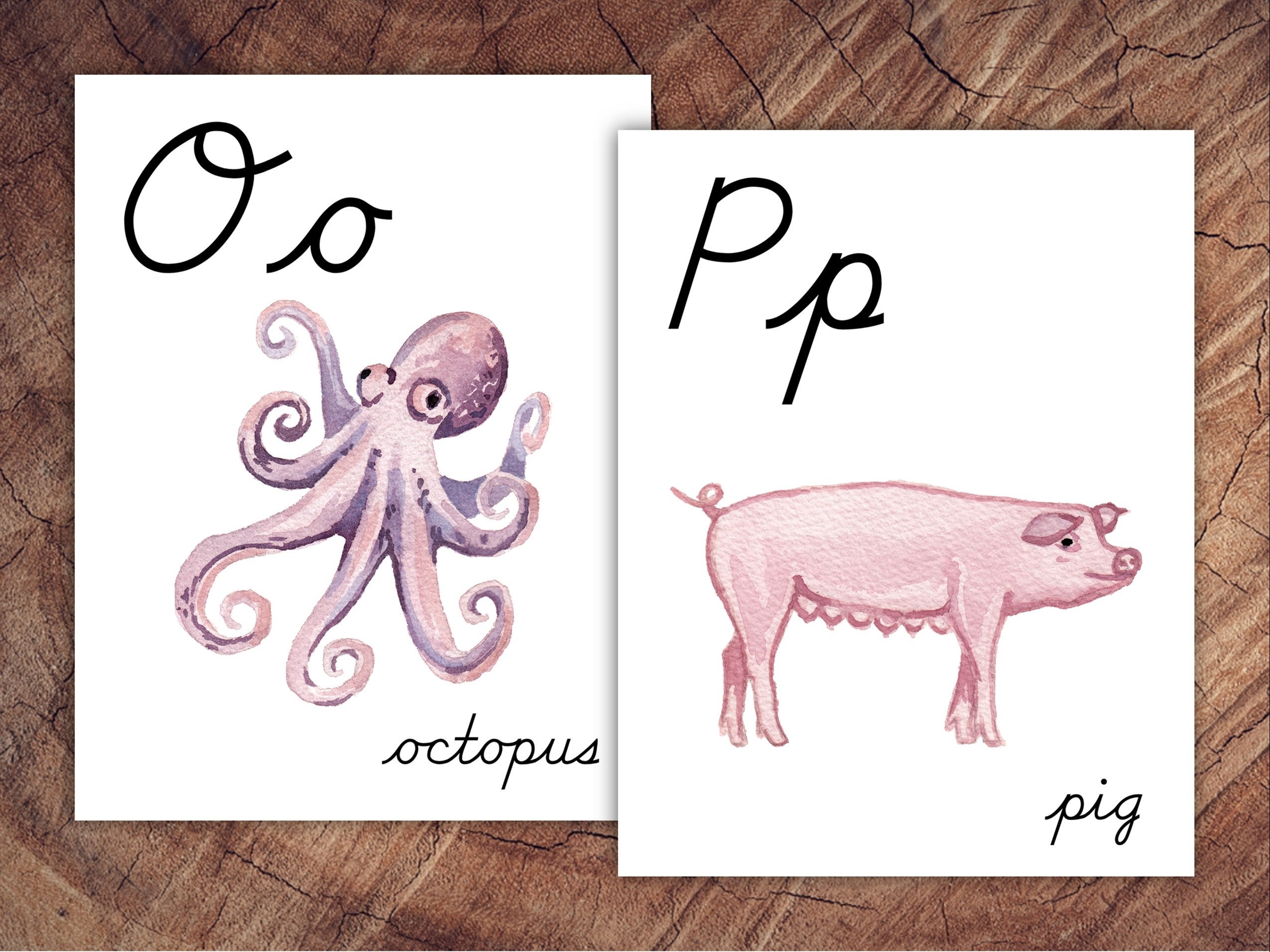 Animals of the World Alphabet Posters, CURSIVE, Large Format for ...