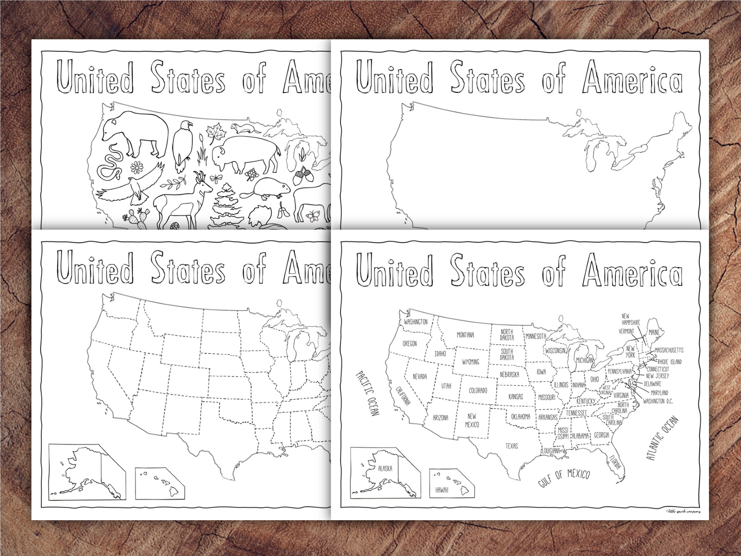 US States Research Pack Homeschool Geography - Etsy