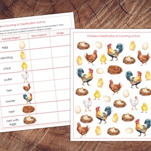 Chickens Bundle, Preschool Literacy, Math DIGITAL DOWNLOAD - Etsy