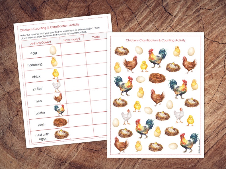 Chickens Bundle Preschool Literacy Math DIGITAL DOWNLOAD | Etsy