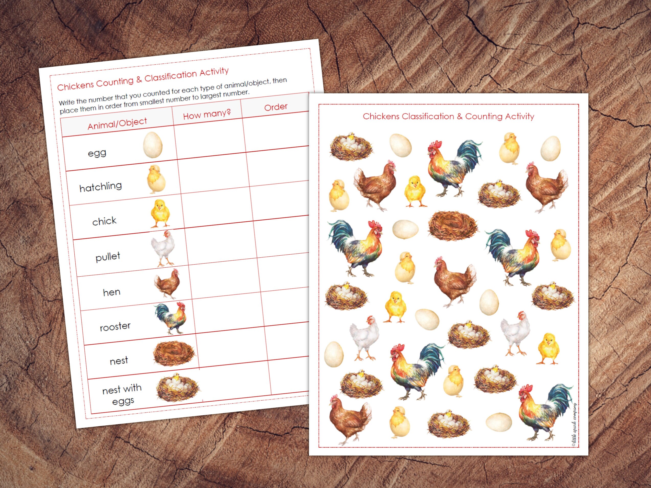 Chickens Bundle Preschool Literacy Math DIGITAL DOWNLOAD | Etsy