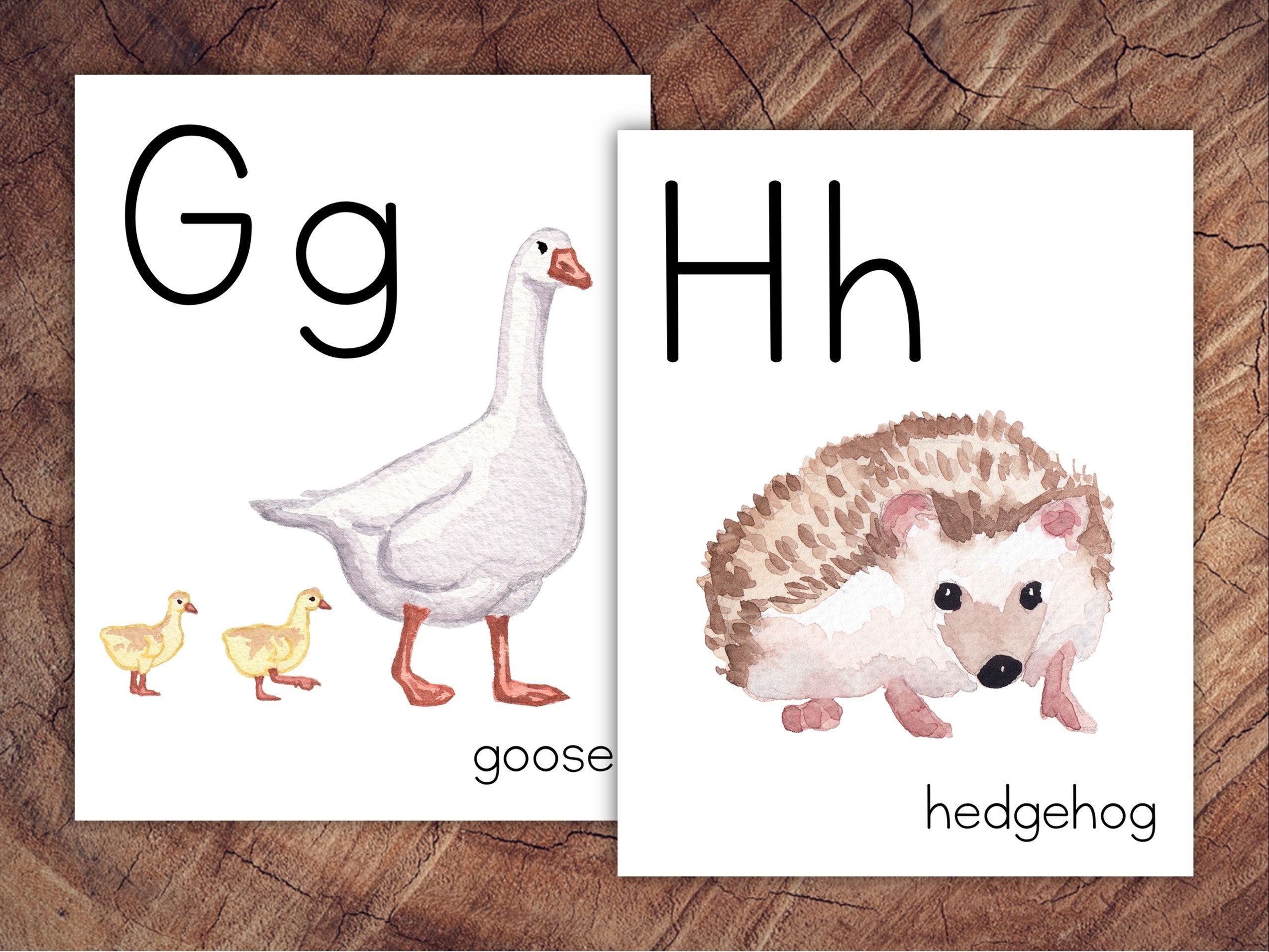 Animals of the World Alphabet Posters, Large Format for Classroom Use ...