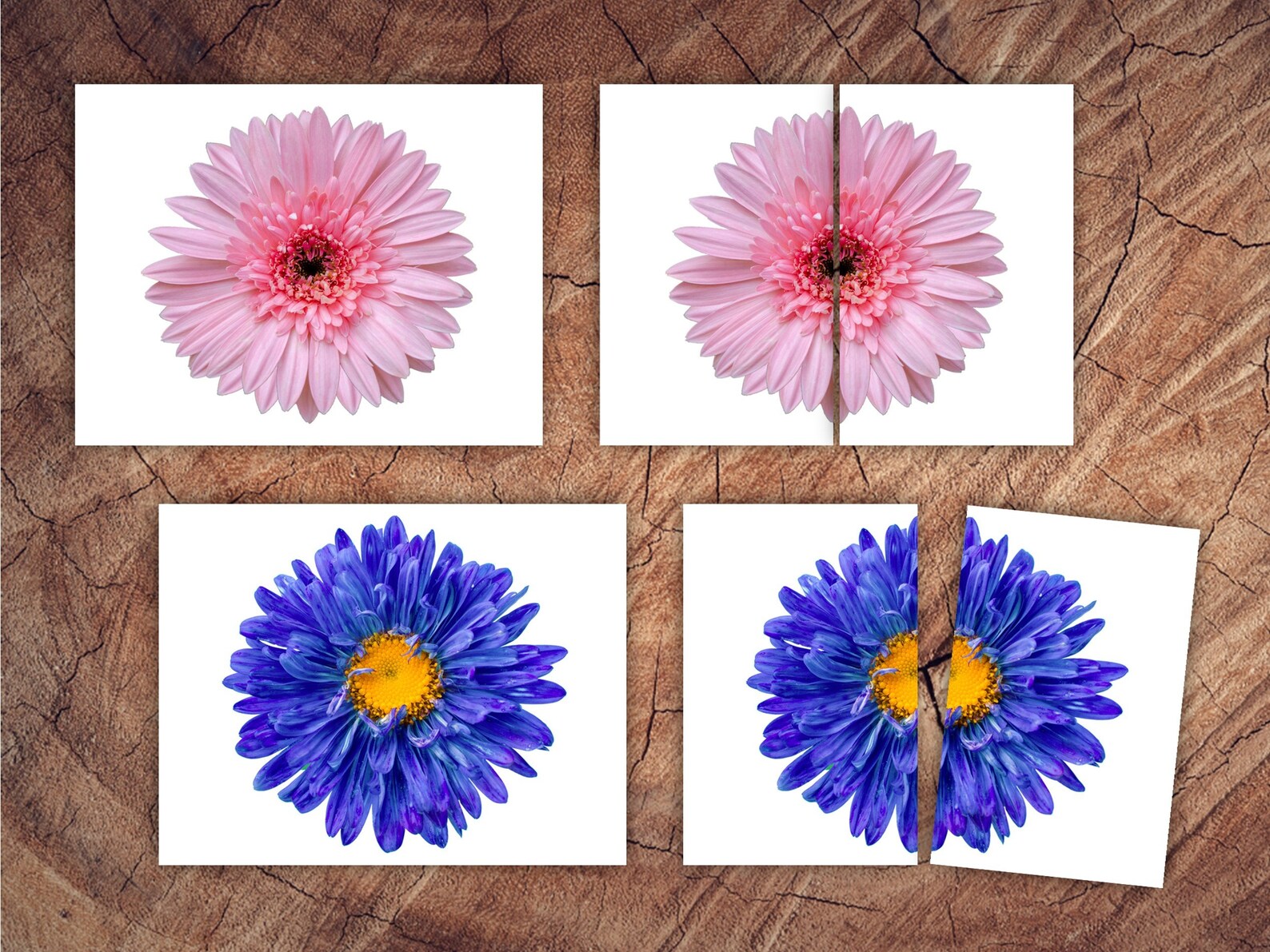 Flower Symmetry Puzzles Matching Cards Toddler Preschool - Etsy
