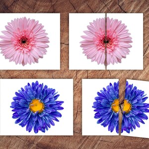 Flower Symmetry Puzzles, Matching Cards, Toddler Preschool Activity - Etsy