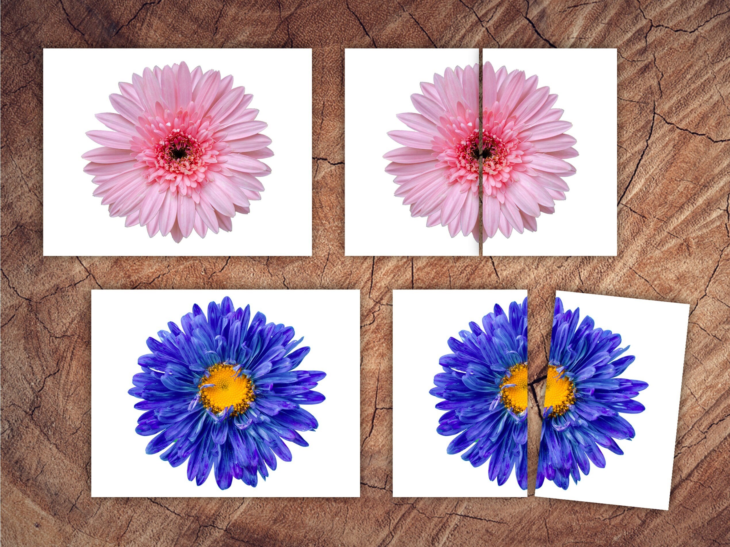 Flower Symmetry Puzzles Matching Cards Toddler Preschool - Etsy