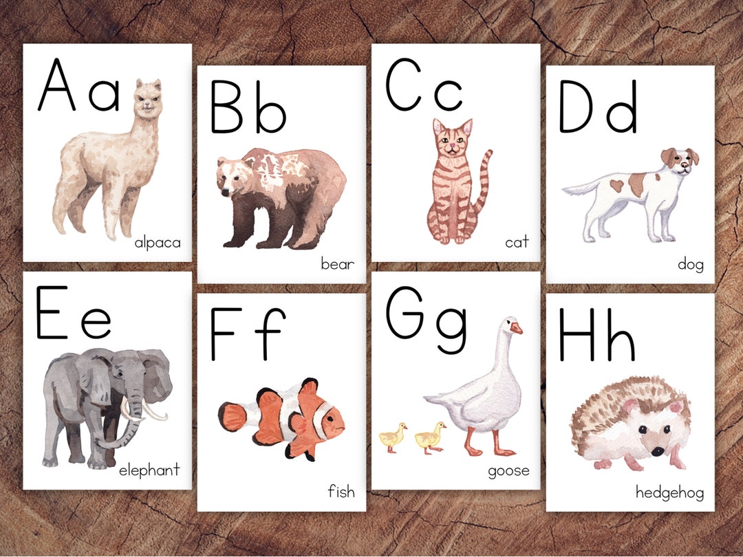 Animals of the World Alphabet Cards, Manuscript Print - Etsy