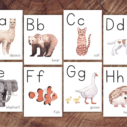 Alphabet Cards Manuscript Print - Etsy