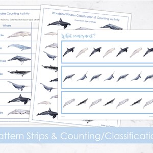 Wonderful Whales Bundle, Preschool Literacy, Math DIGITAL DOWNLOAD - Etsy