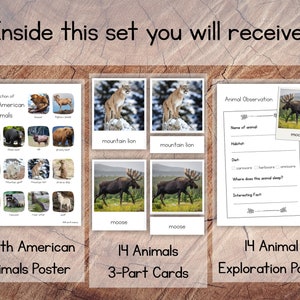 North American Animals Pack With Extension - Etsy