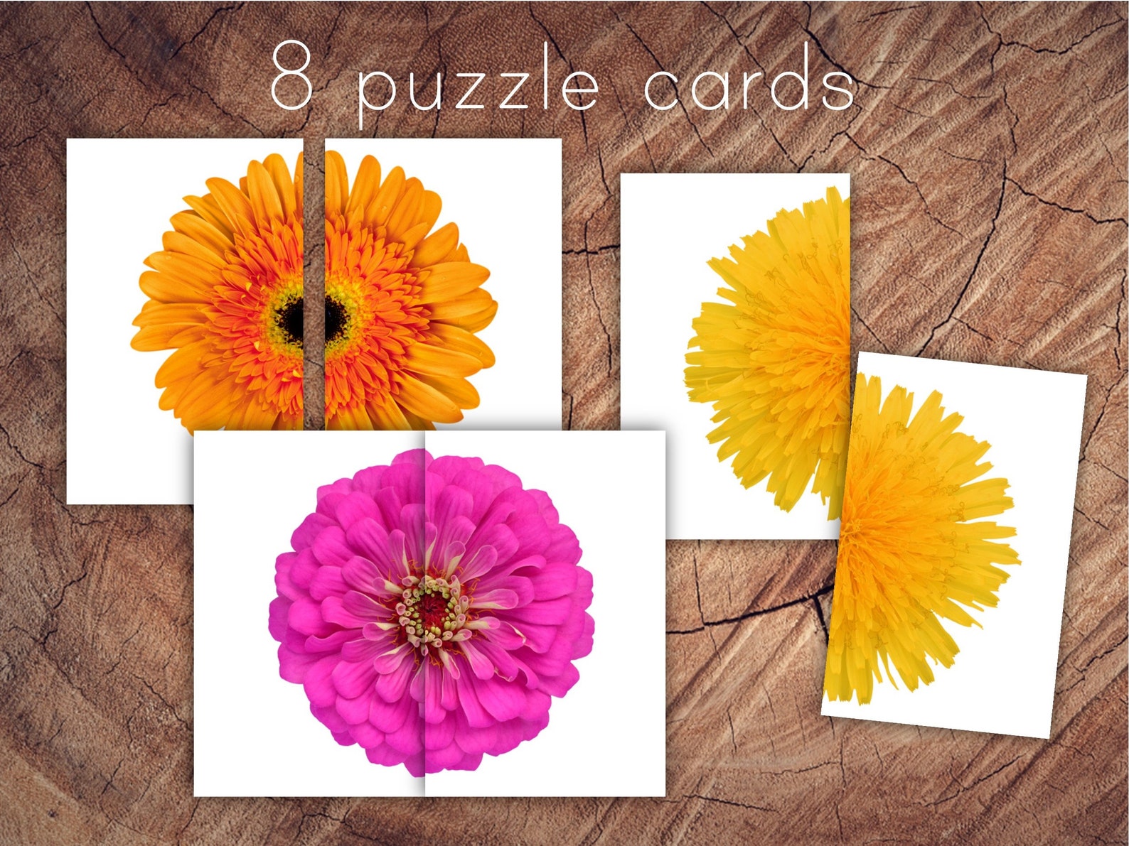 Flower Symmetry Puzzles Matching Cards Toddler Preschool | Etsy