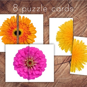 Flower Symmetry Puzzles Matching Cards Toddler Preschool | Etsy