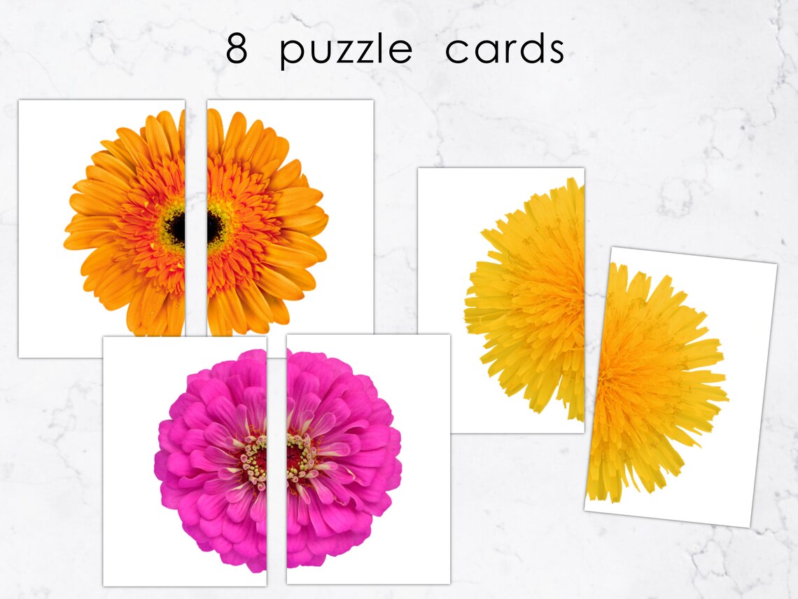 Flower Symmetry Puzzles Matching Cards Toddler Preschool | Etsy