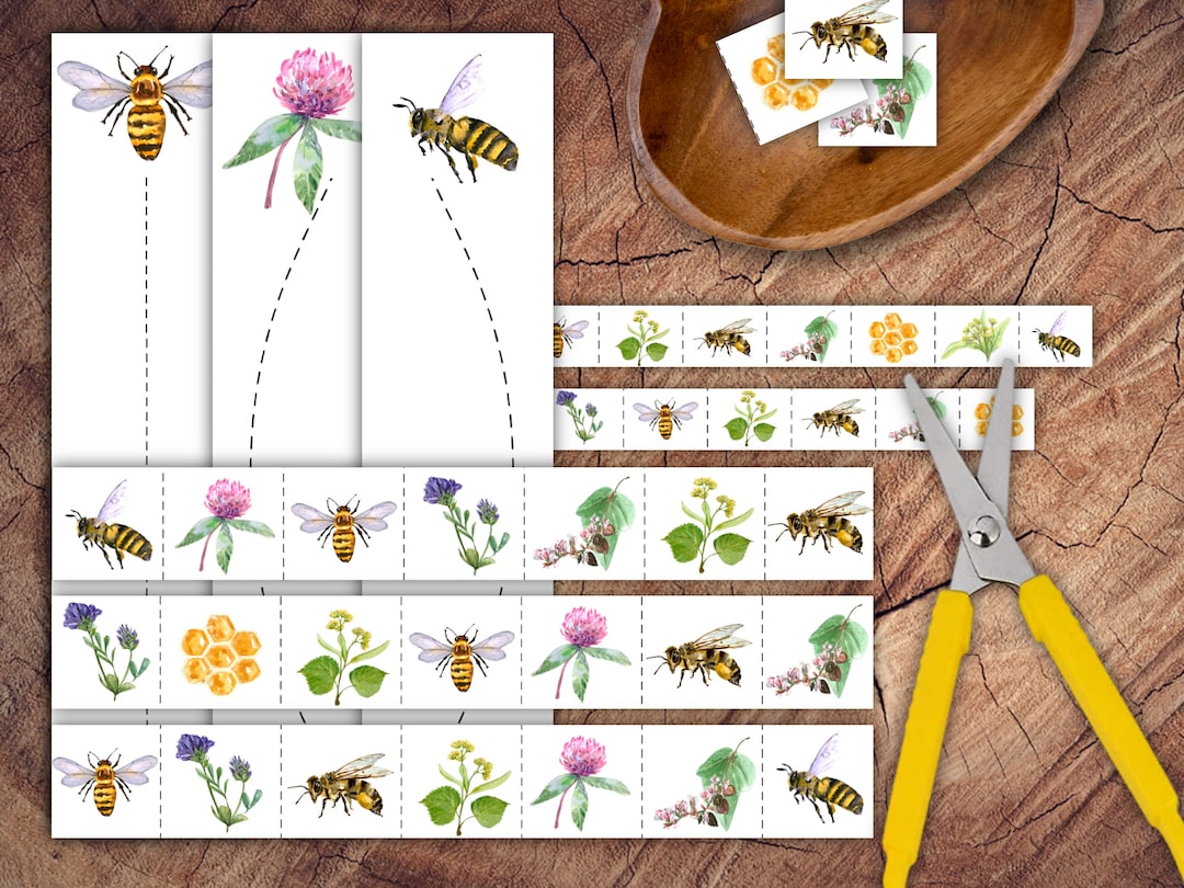 Honey Bees Scissor Strips Set, Preschool Scissor Practice - Etsy