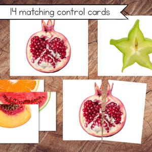 Fruit Slices Symmetry Puzzles, Matching Cards, Toddler Preschool ...