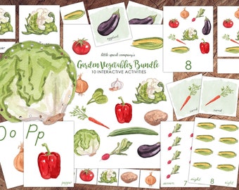 Chickens Bundle Preschool Literacy Math DIGITAL DOWNLOAD | Etsy