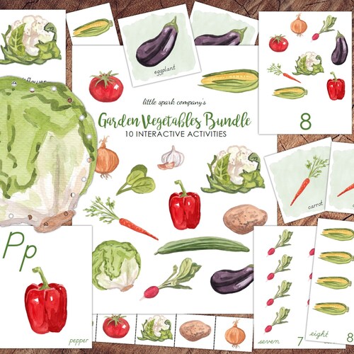 Chickens Bundle Preschool Literacy Math DIGITAL DOWNLOAD - Etsy