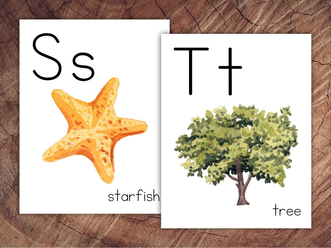 Alphabet Posters Large Format for Classroom Use - Etsy