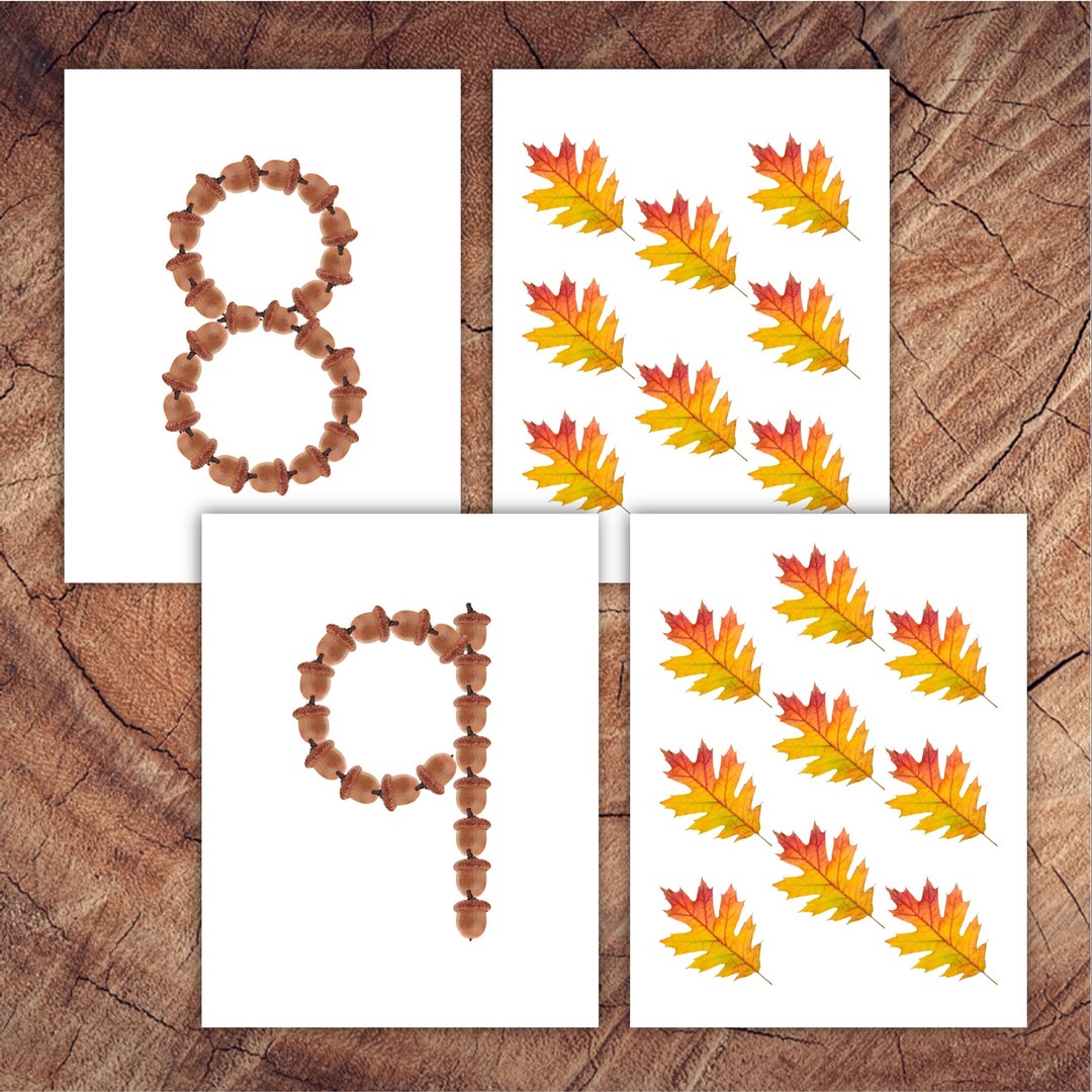 Acorn & Oak Count and Sort Set, Toddler Preschool Activity - Etsy