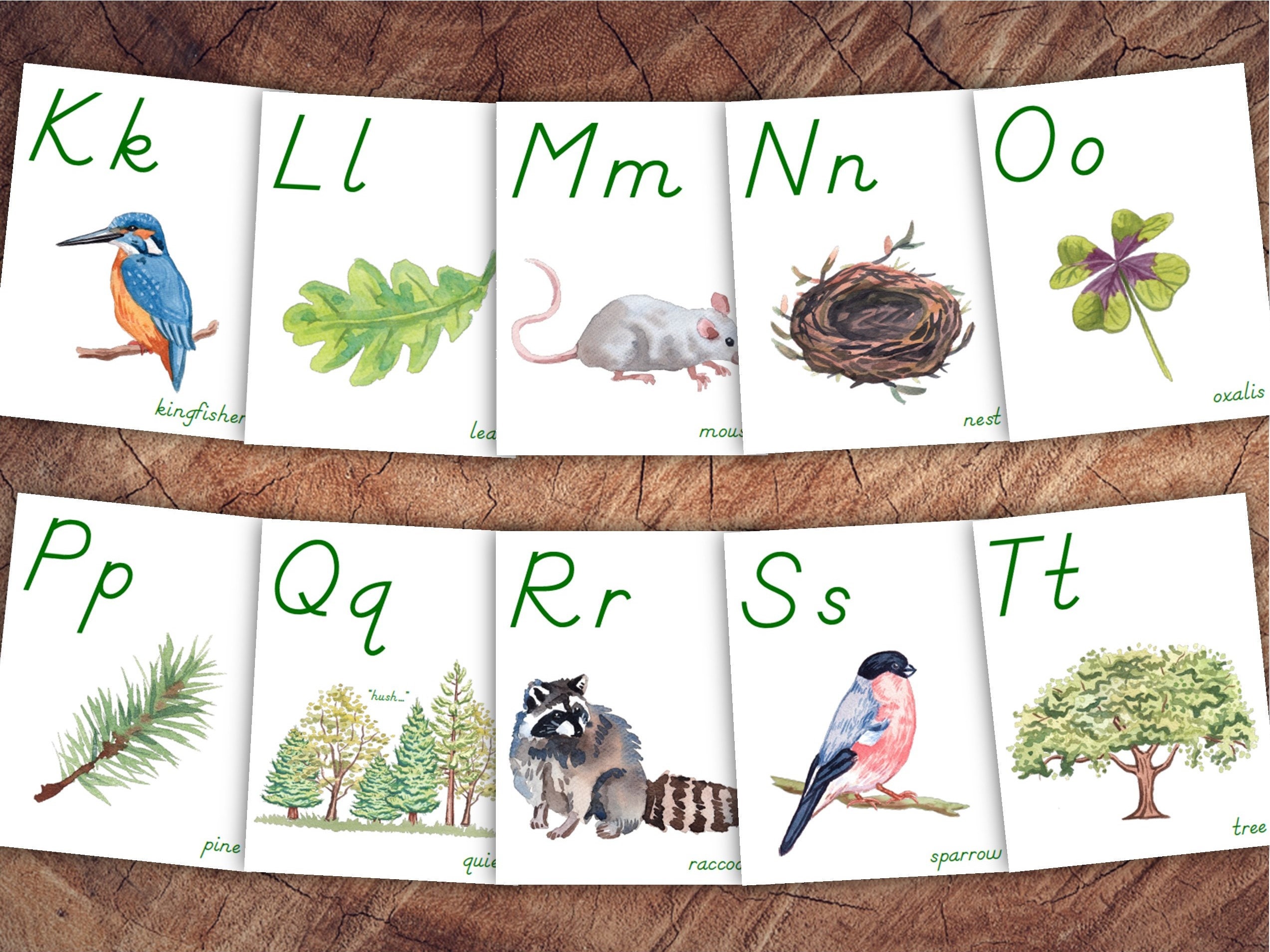 Forest Explorer Alphabet Cards Woodland Animal Nursery Decor - Etsy