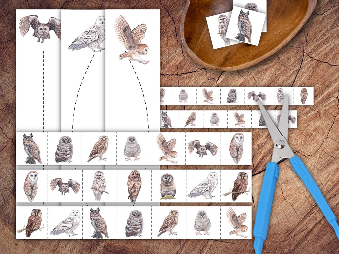 Owls Scissor Strips Set, Preschool Scissor Practice - Etsy