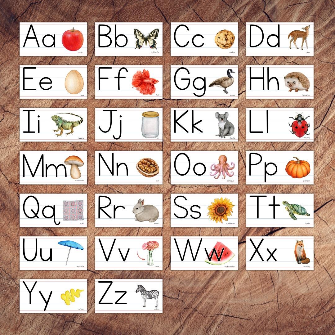 Language Cabinet Labels, Lined Manuscript Print Edition - Etsy