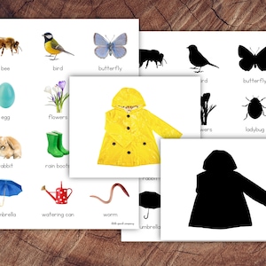 Spring Picture Matching Cards, Silhouette Matching, Toddler Preschool ...
