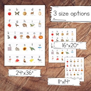 Lowercase Alphabet Poster, Lined, 3 Size Options - Etsy