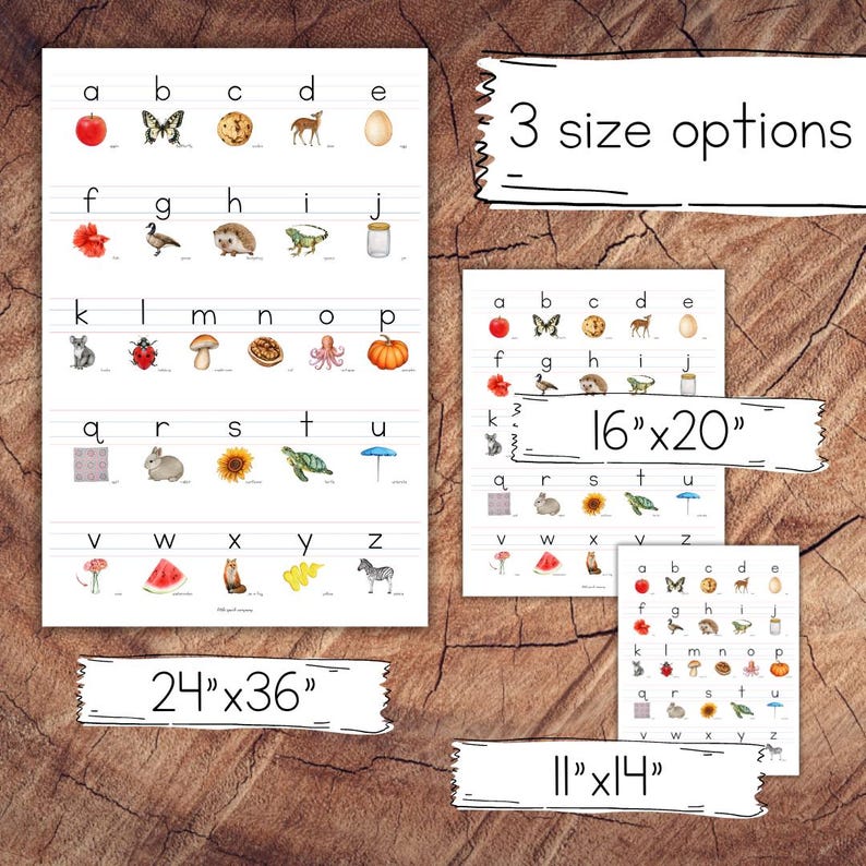 Lowercase Alphabet Poster, Lined, 3 Size Options - Etsy