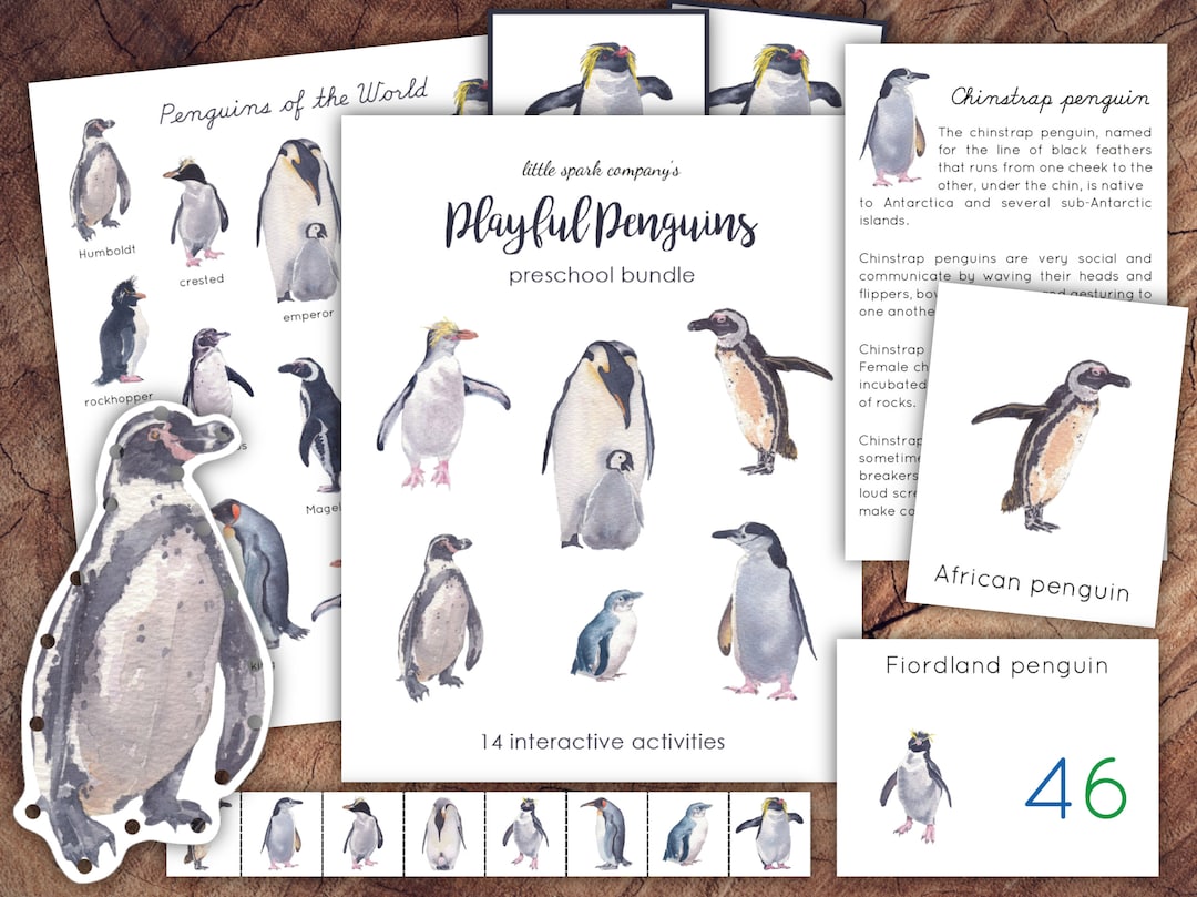 Playful Penguins Bundle, Homeschool Printable - Etsy