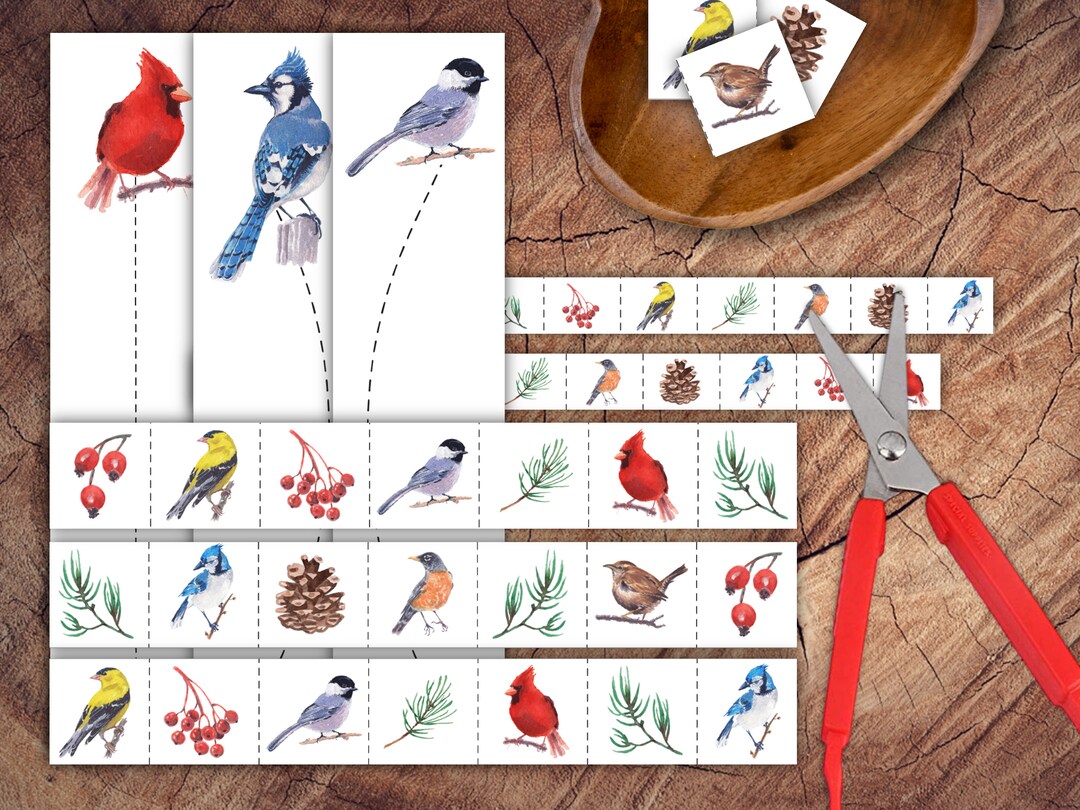 Winter Birds Scissor Strips Set, Preschool Scissor Practice - Etsy