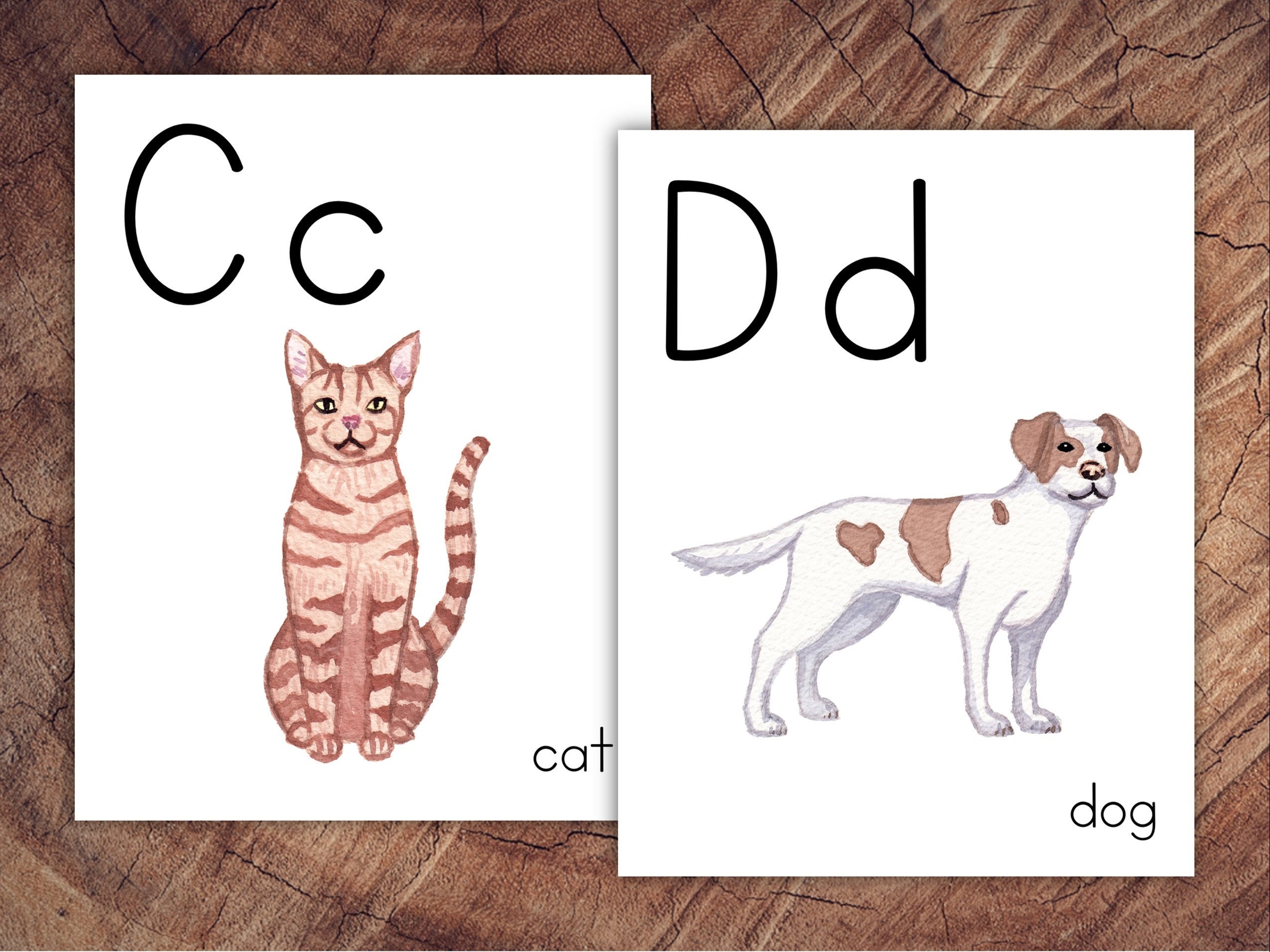 Animals of the World Alphabet Posters Large Format for | Etsy