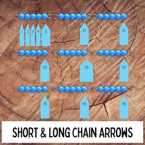 Printable Montessori Skip Counting Arrows for Short and Long Bead ...