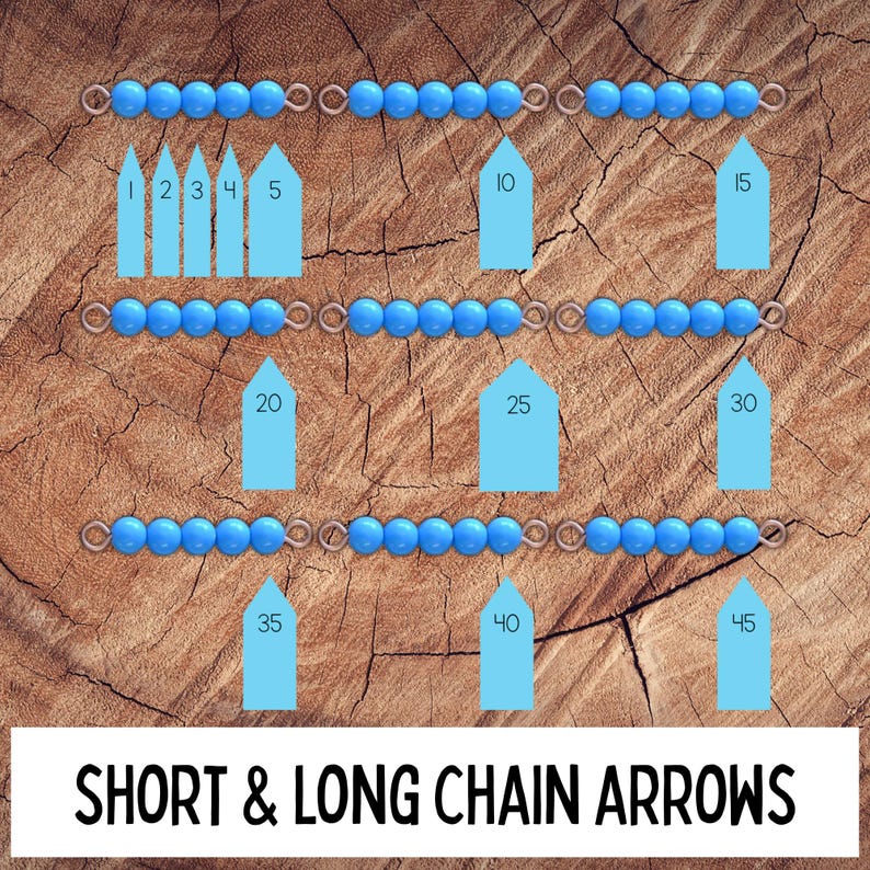 Printable Montessori Skip Counting Arrows for Short and Long Bead ...