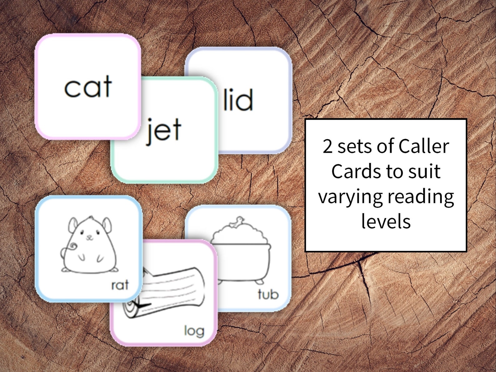 CVC I Can Read Bingo Inclusive Bingo for All Reading Levels - Etsy