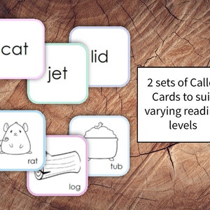 CVC I Can Read Bingo - Inclusive Bingo for All Reading Levels - Etsy
