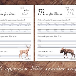 Animals of the World Cursive Workbook, Cursive Handwriting Practice - Etsy