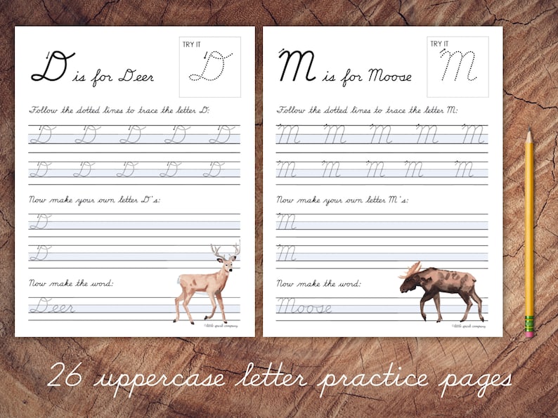 Animals of the World Cursive Workbook, Cursive Handwriting Practice - Etsy