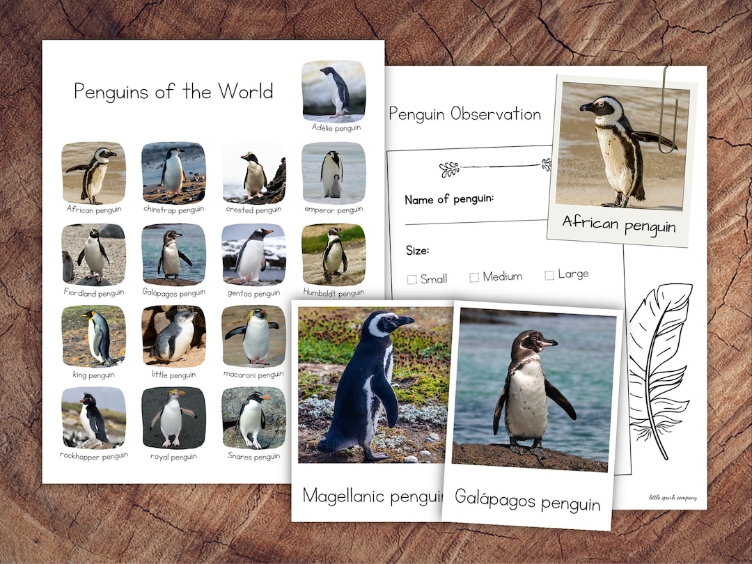 Penguins Pack With Extension - Etsy