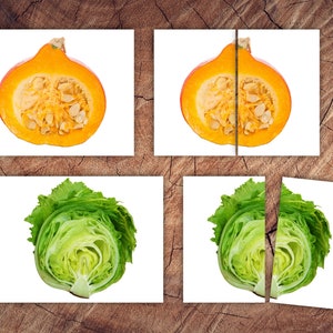 Veggetable Slices Symmetry Puzzles, Matching Cards, Toddler Preschool ...