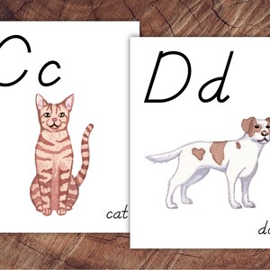 Animals of the World Alphabet Posters, D'nealian-style Pring, Large ...