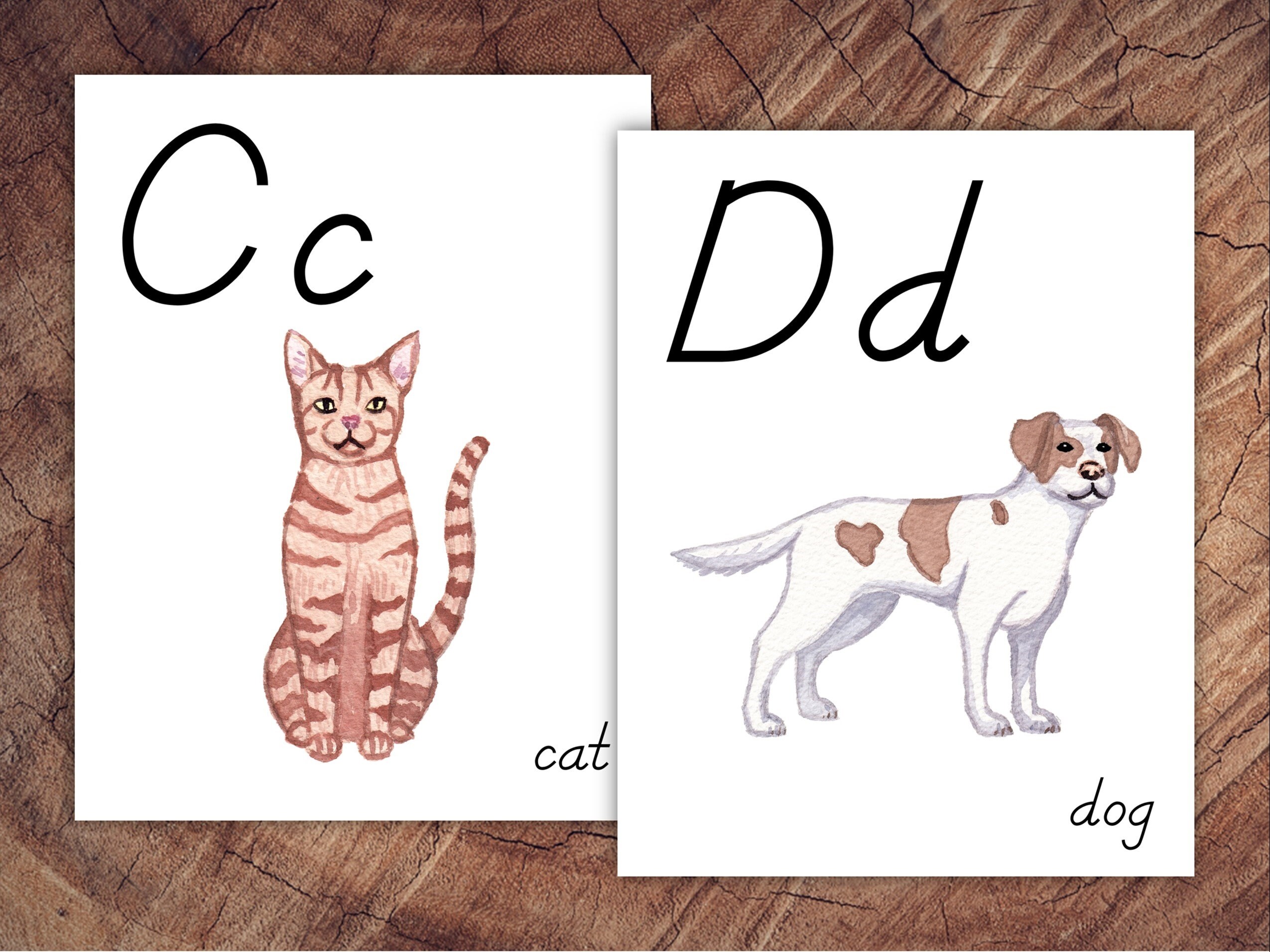 Animals of the World Alphabet Posters D'nealian-style | Etsy