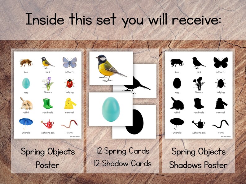 Spring Picture Matching Cards, Silhouette Matching, Toddler Preschool ...