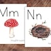 Alphabet Posters, Large Format for Classroom Use - Etsy