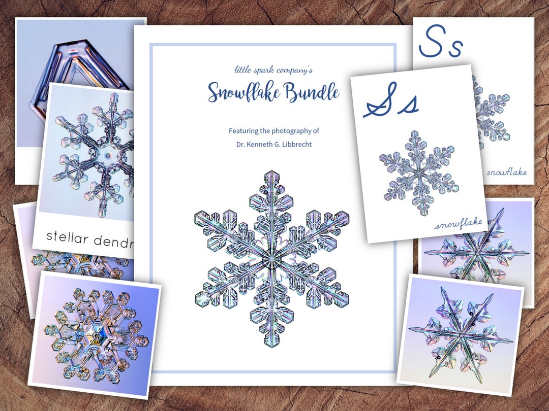 Snowflakes Bundle, Preschool Literacy, Math DIGITAL DOWNLOAD - Etsy