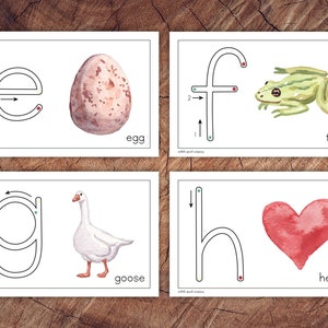 Printing Primer Cards, Lowercase Edition - Etsy